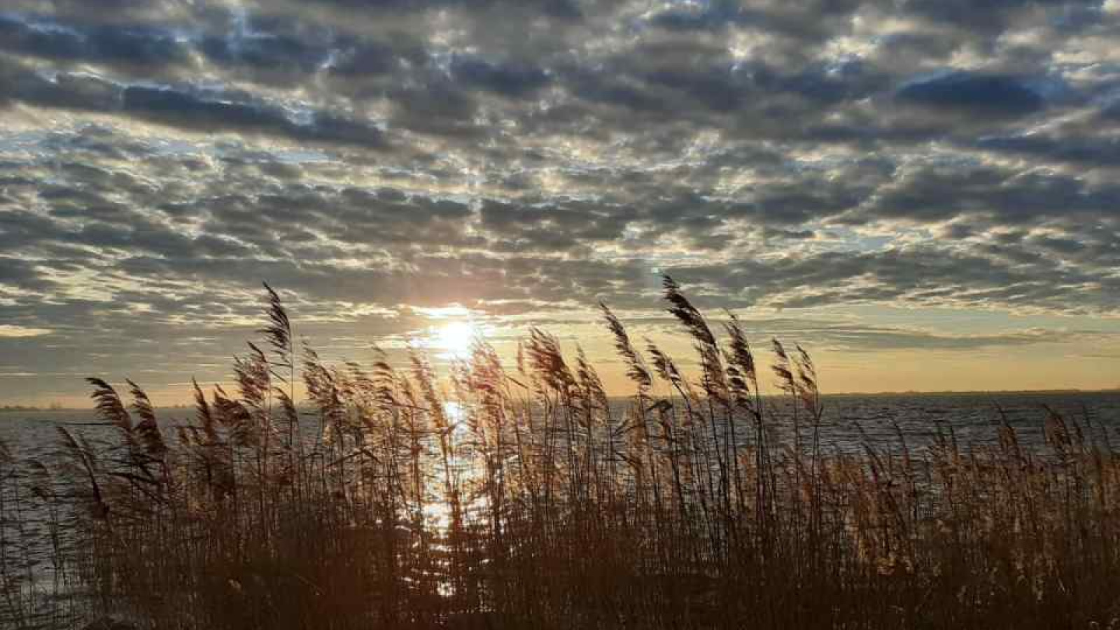 Camping Eefting in Rohel, Friesland in Nederland - Glampings.com