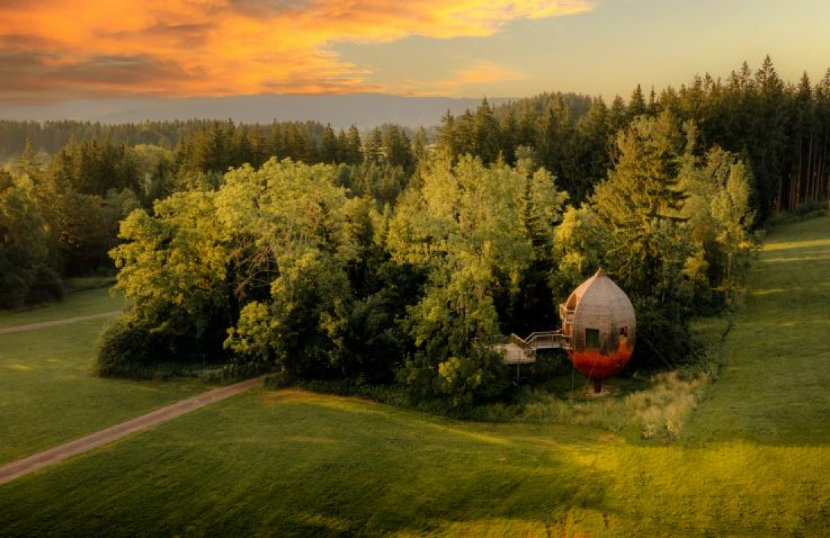 Ferienhof & Baumhaushotel Allgäu in Betzigau | Treehouse in Bavaria ...