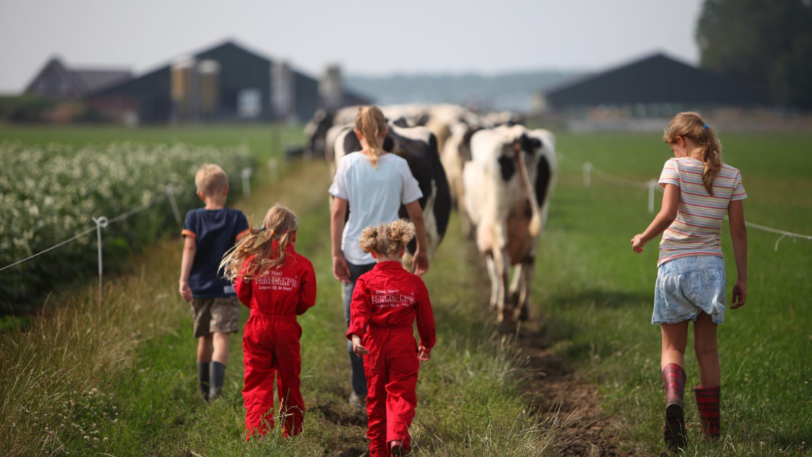FarmCamps Op Flakkee in South-Holland 🇳🇱 - book directly