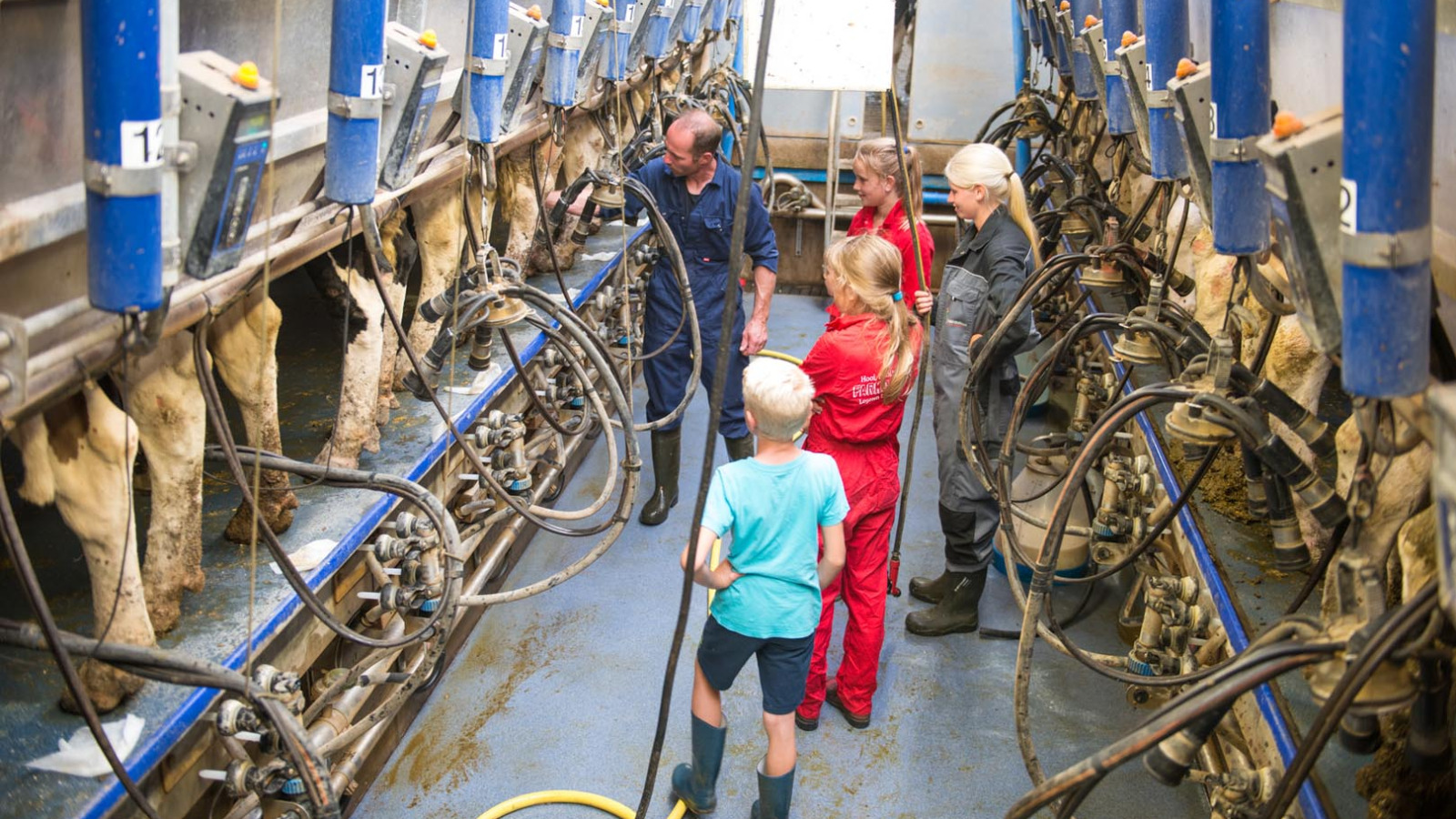FarmCamps Op Flakkee in South-Holland 🇳🇱 - book directly